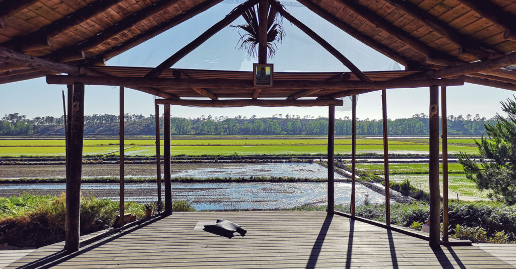 Yoga Met Uitzicht Op De Rijstvelden